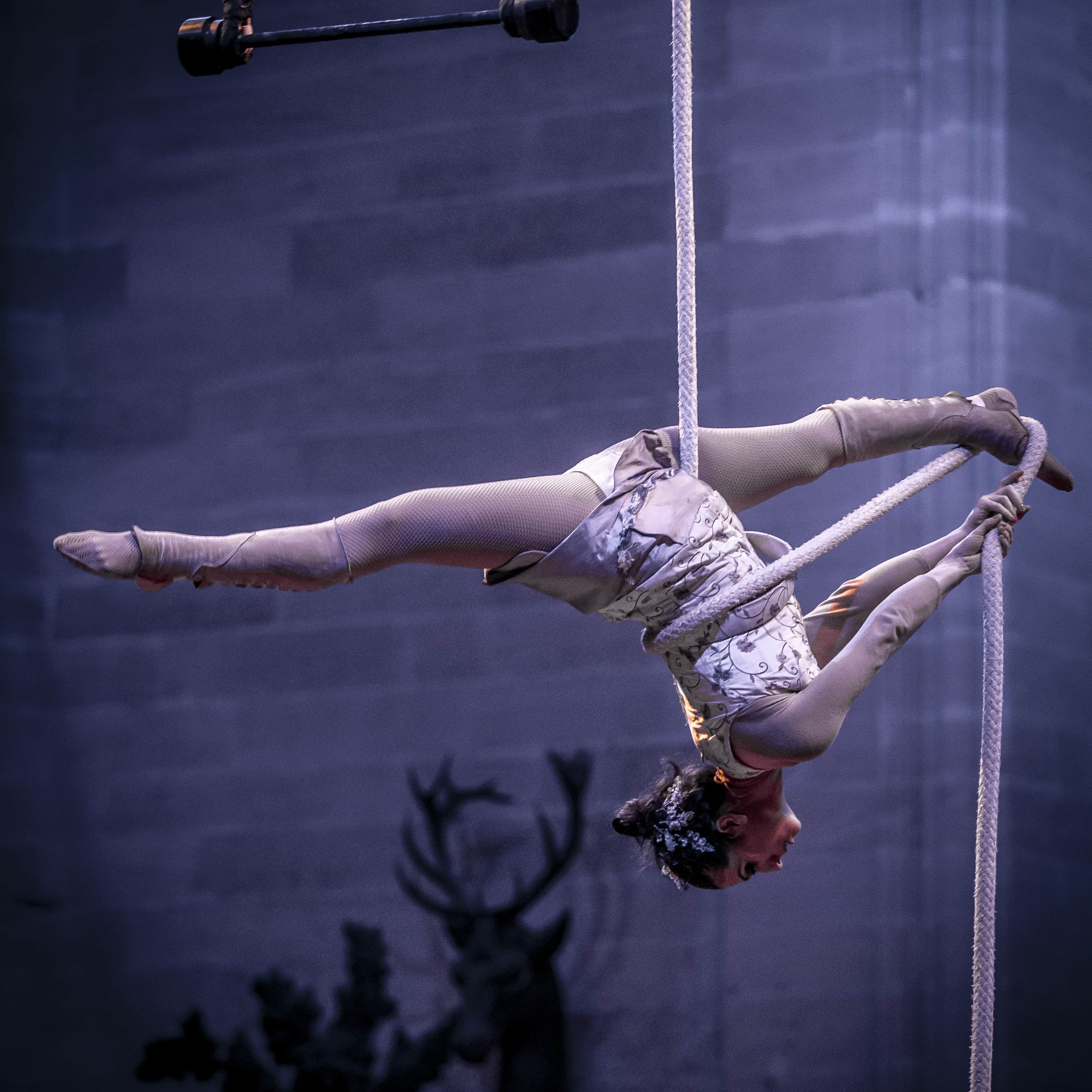 Laure Sinic, artiste aérienne — Infos